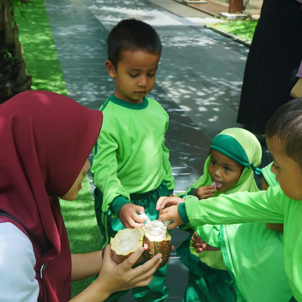 Petualangan Seru KB Daarun Naja Talun di Kampung Coklat - Kampung Coklat